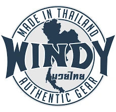WINDY – MICKEY'S FIGHT COMPANY
